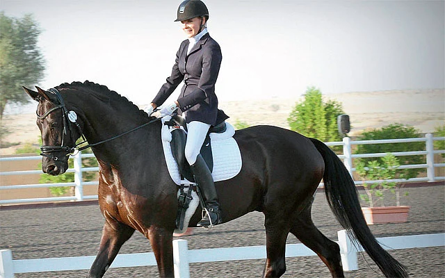 UAE’s best dressage riders on show | Khaleej Times