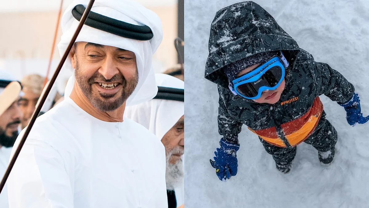 Watch: UAE President 'gets kiss' from Sheikh Hamdan's son on his ...