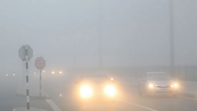 UAE weather: Red, yellow alerts issued due to fog, visibility set to ...