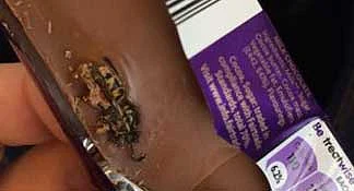 Man finds wasp in Dairy Milk chocolate bar | Khaleej Times
