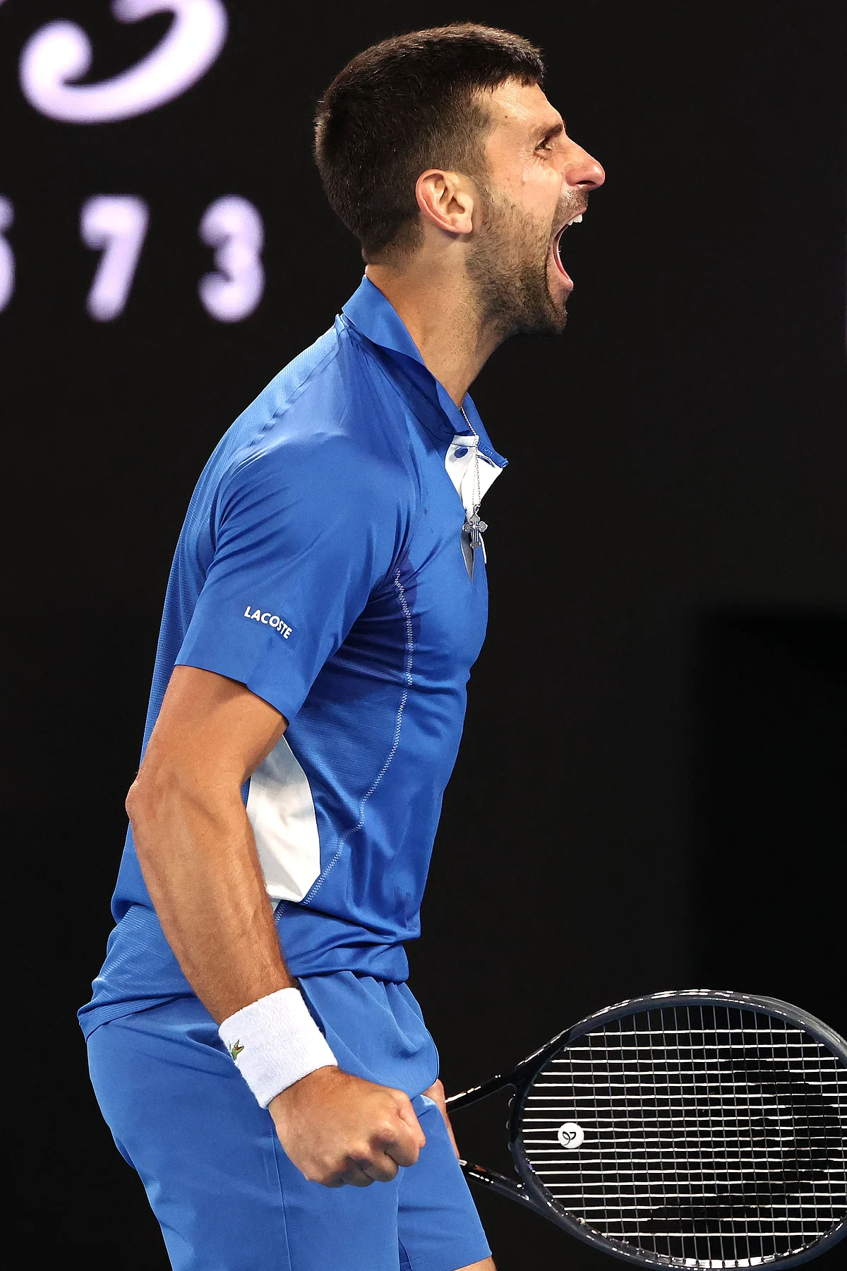 Say it to my face, Djokovic tells heckling fan