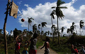 Coconut farmers face ruin after Philippine typhoon | Khaleej Times