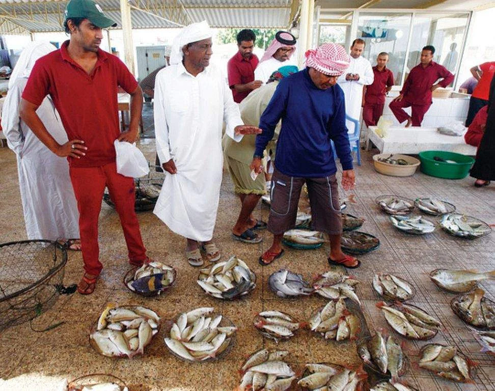 Strong winds halt fishing in RAK, residents look elsewhere | Khaleej Times