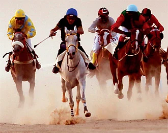 Tel Moreeb: The Liwa 2014 Moreeb Dune Festival | Khaleej Times