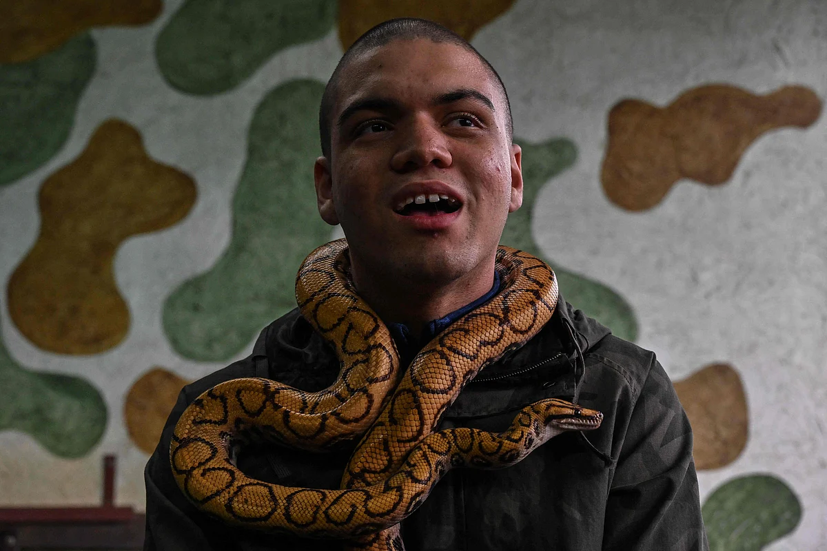 Snakes as therapy animals: Reptiles help heal in Brazil