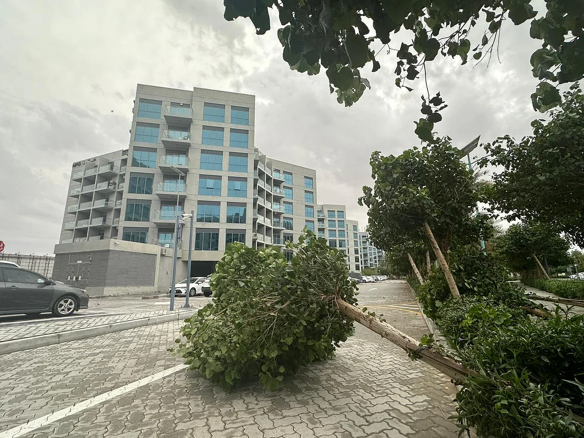 'Howling winds, pounding rain': UAE residents on alert as adverse ...