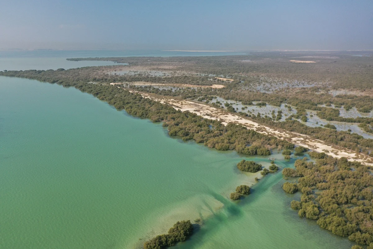 UAE: Geckos that glow in the dark, 100kg green turtles can be found in ...