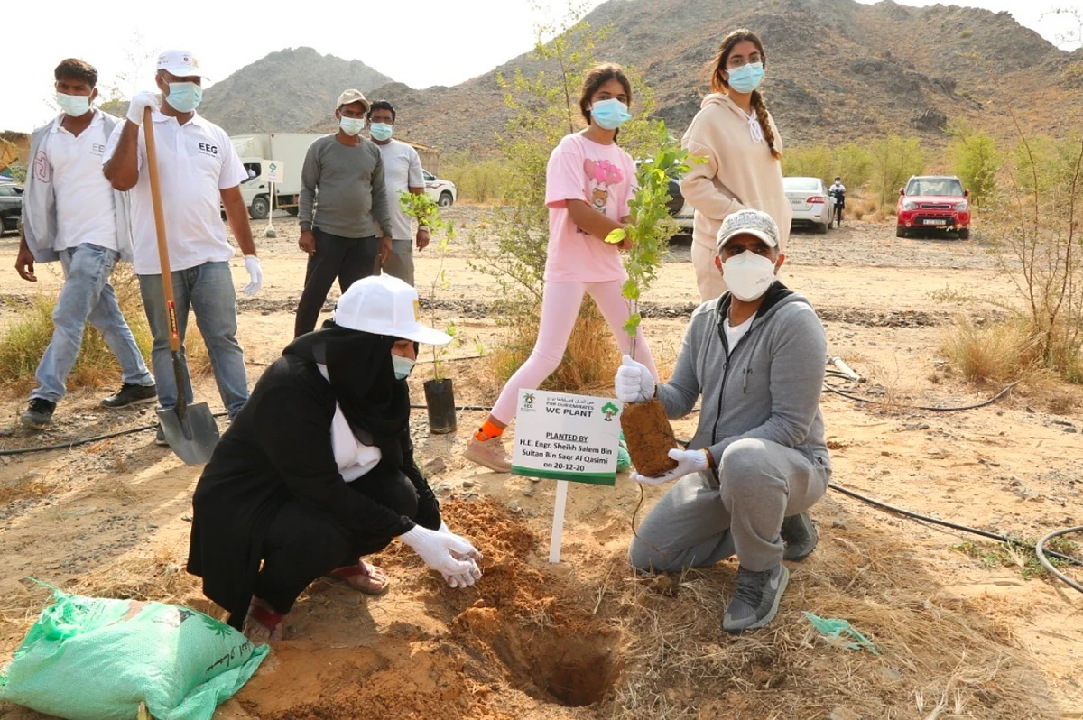 Boost for UAE's green campaign, as 2,000 native Sidra, Ghaf trees were ...