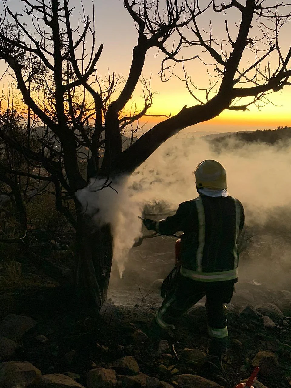 Saudi Arabia forest fire: Ethiopians blamed for starting blaze after ...
