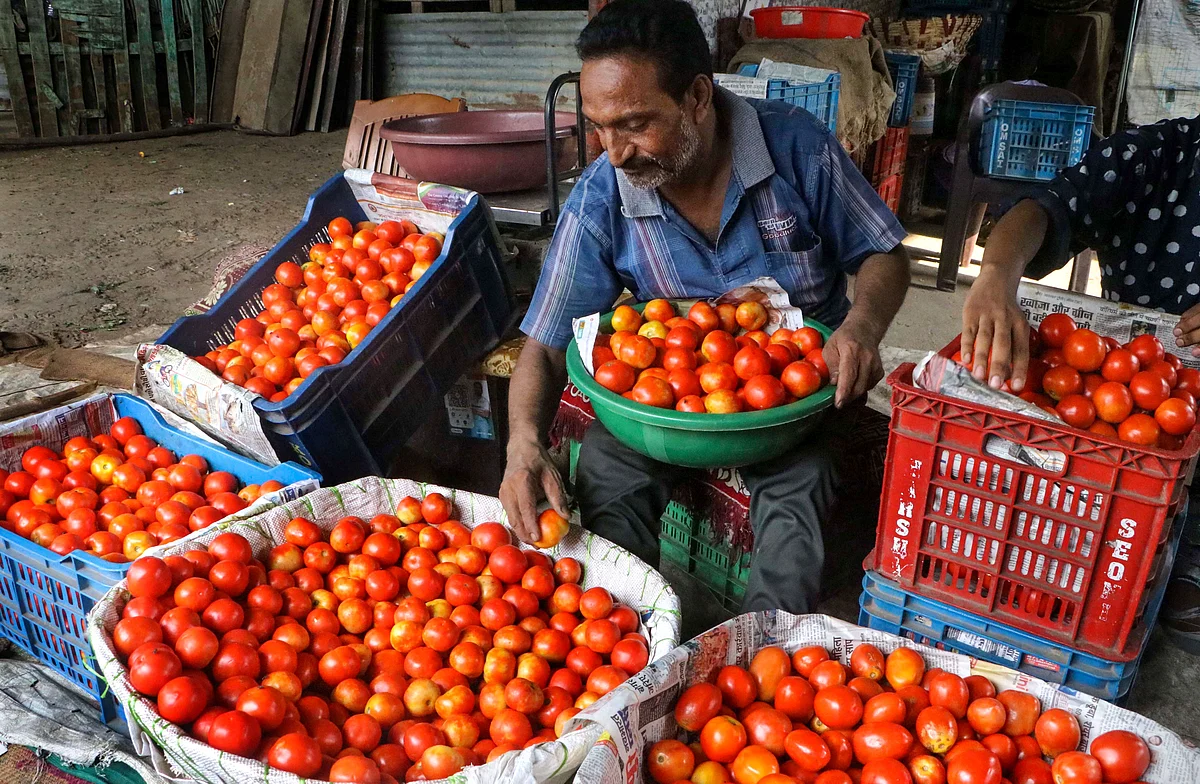 Indian farmer becomes millionaire as tomato prices skyrocket, earns Rs30 million in a month ...