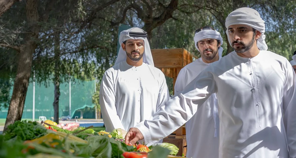 New 'Dubai Farms' initiative launched to support Emirati farmers ...