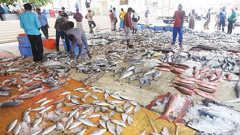 UAE Ramadan: Opening hours for livestock, fish markets announced in RAK ...
