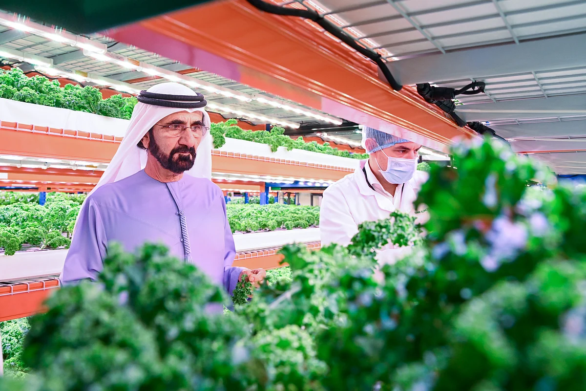 Watch: Sheikh Mohammed visits world's largest vertical farm in Dubai ...