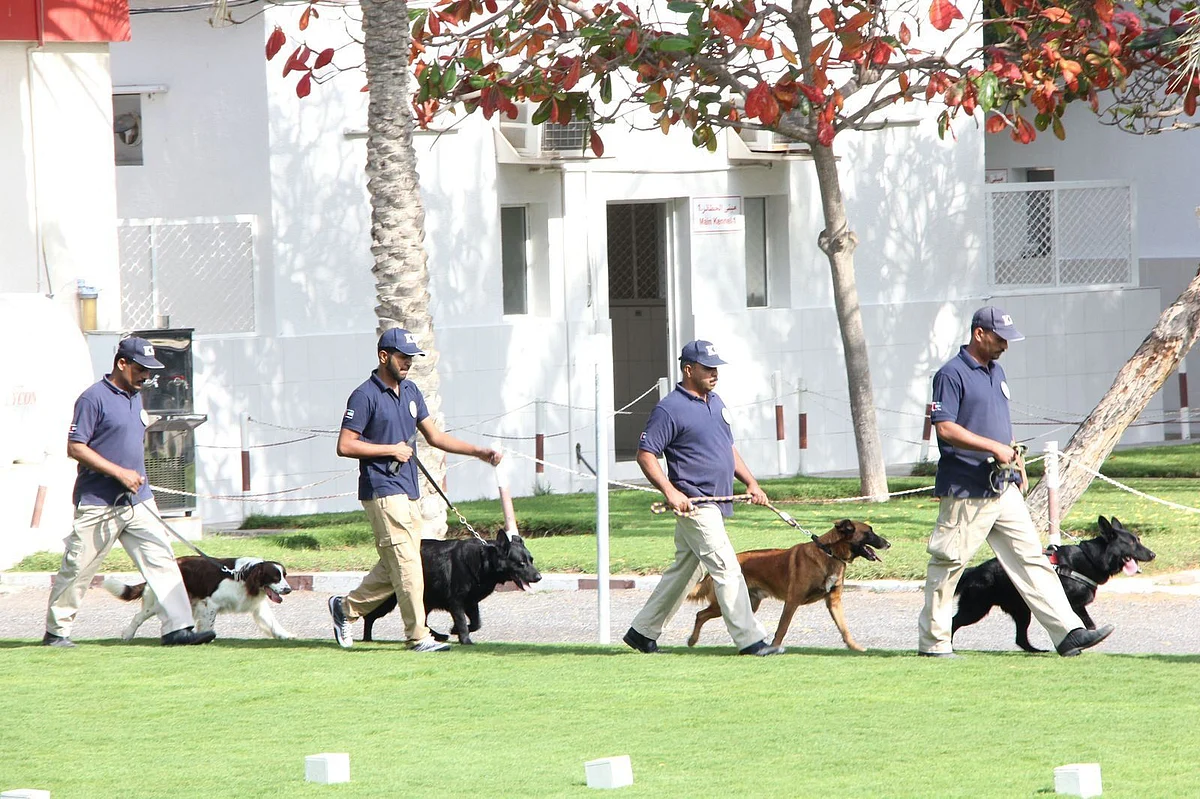 UAE: K9 dogs of RAK Police solve 3,475 crimes in 2022 | Khaleej Times
