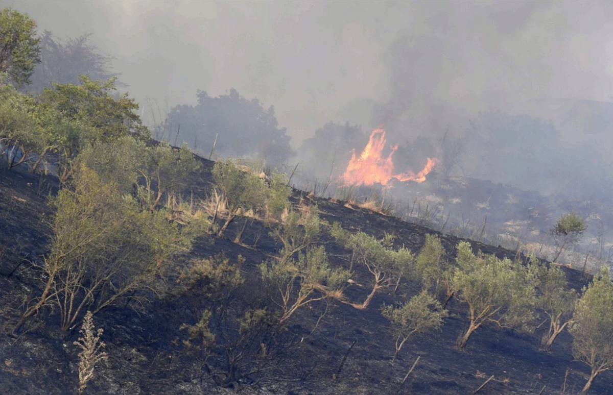 Poor countries need help to tackle climate change | Khaleej Times