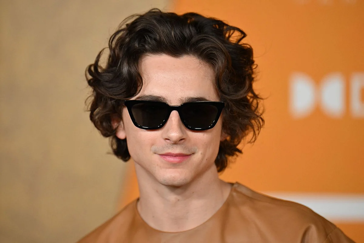 Timothee Chalamet on why he lost out on 'Maze Runner,' 'Divergent ...