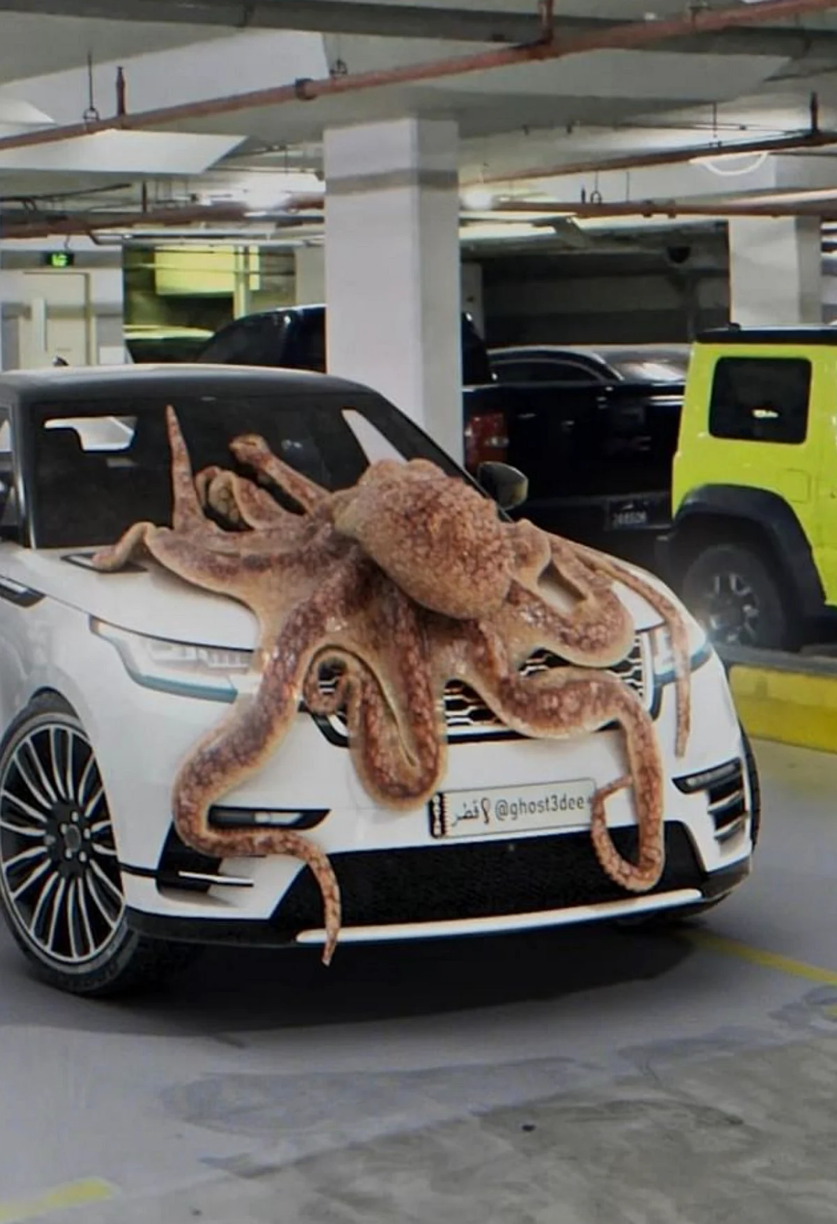 Fake or real? Viral video shows giant octopus smashing SUV in Qatar ...