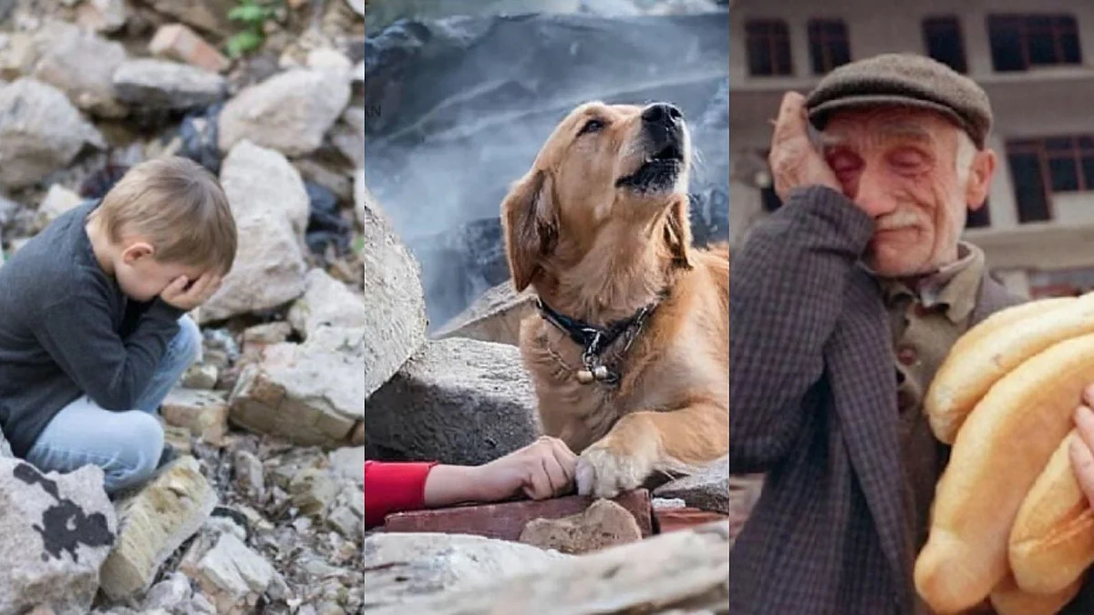 Crying child in rubble, old man in tears: Old photos recirculated as ...