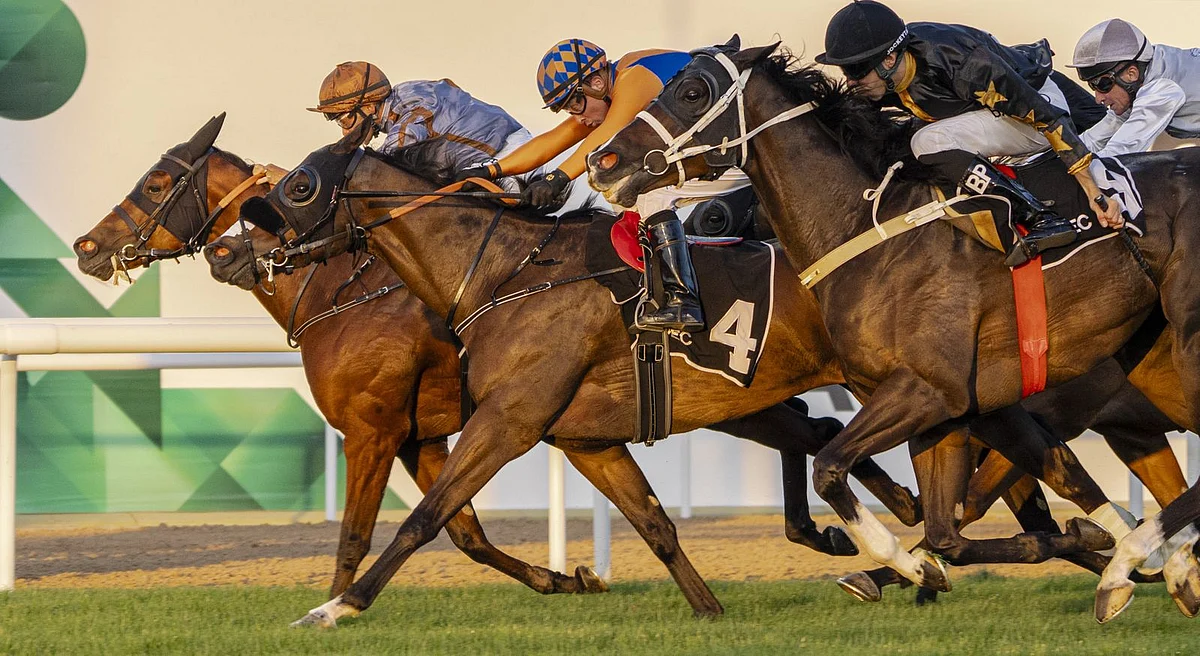 Seemar caps 'dream season' with second UAE Trainer's Championship ...