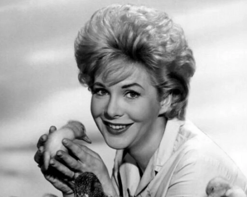 Hollywood actor Jan Shepard passes away