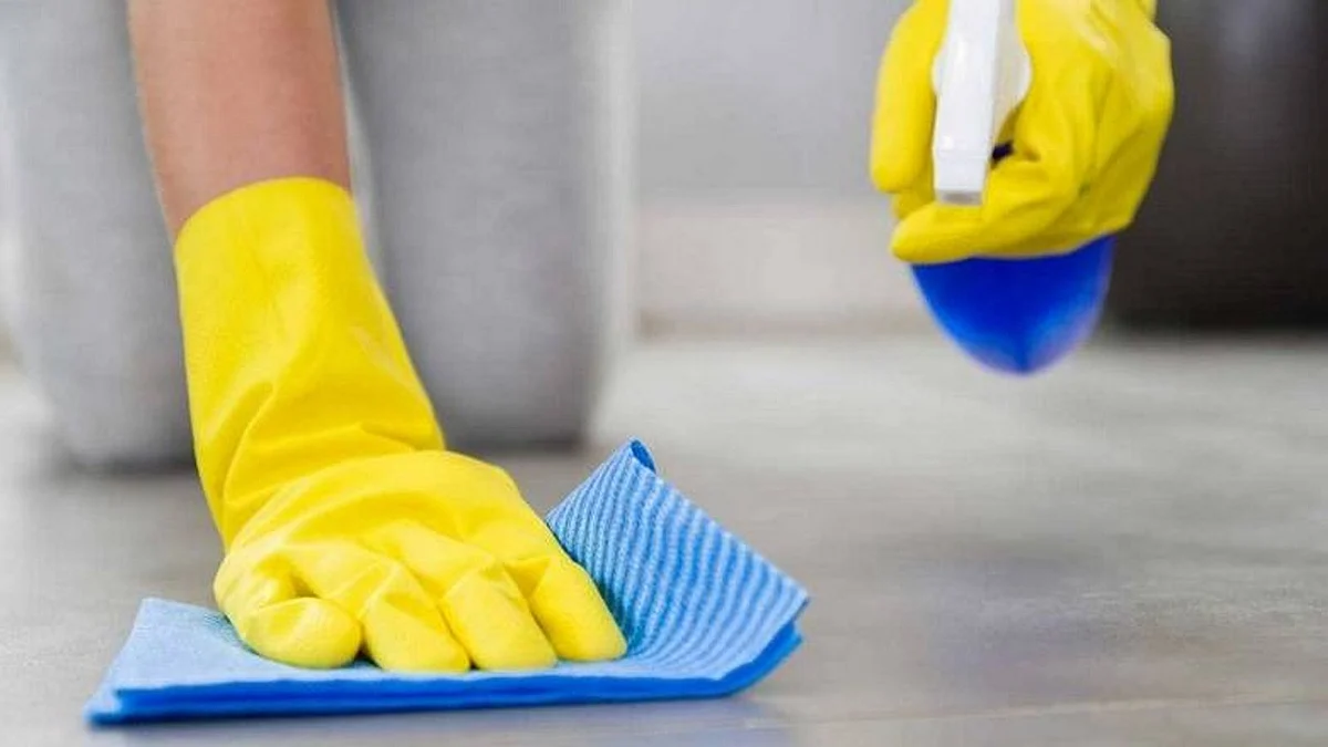 UAE warns residents against hiring maids through unreliable social ...