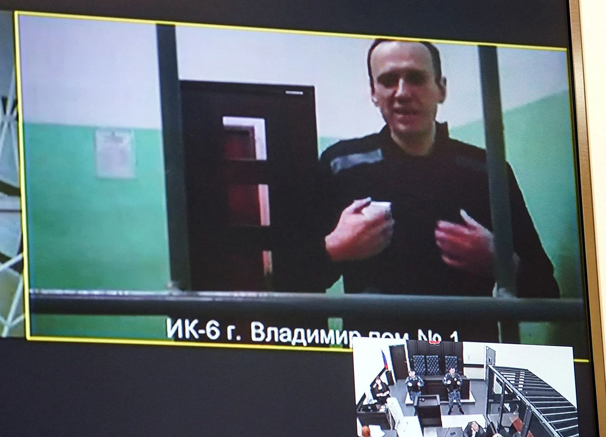 Russia's Navalny tracked down to 'Polar Wolf' prison in the Arctic ...