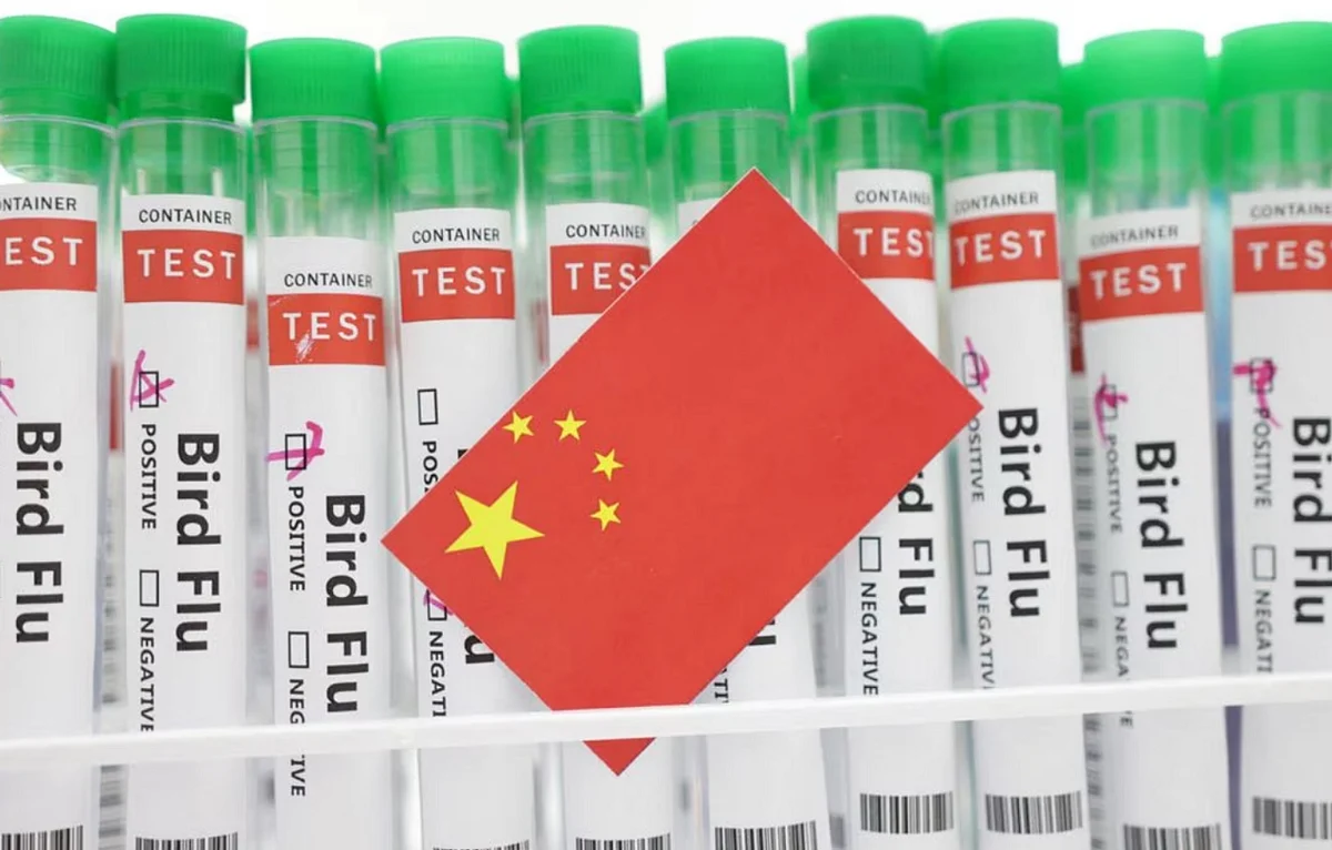China records world's first human death from H3N8 bird flu: WHO ...