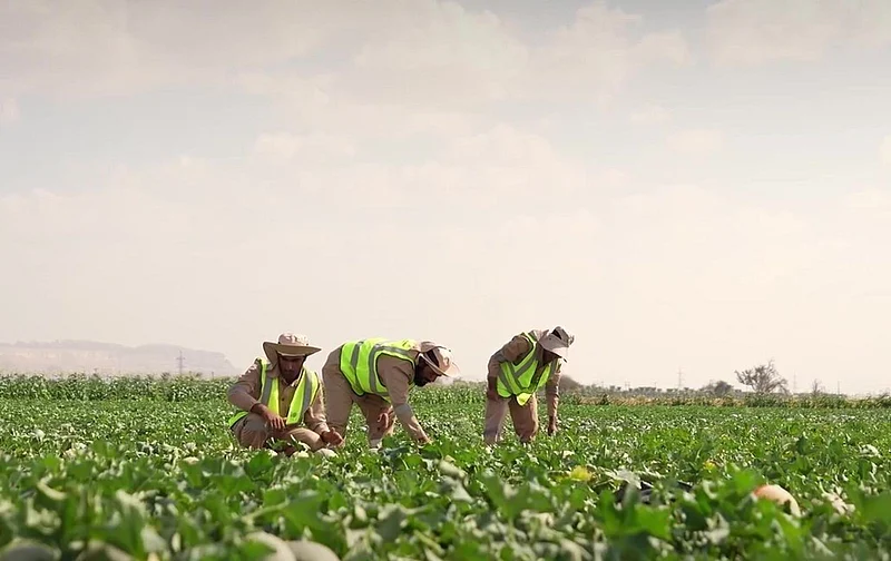 UAE: New partnership to help farmers overcome climate change