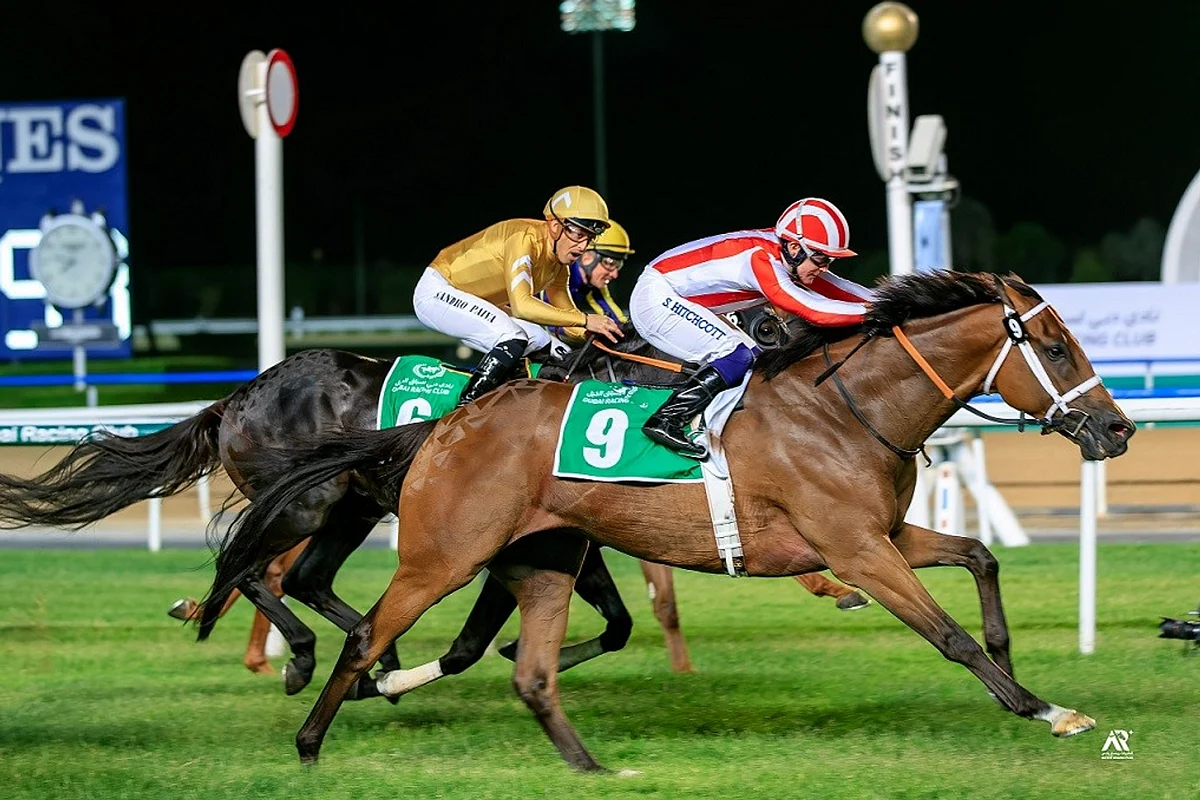Meydan racing: Domestic handlers ready to shine | Khaleej Times