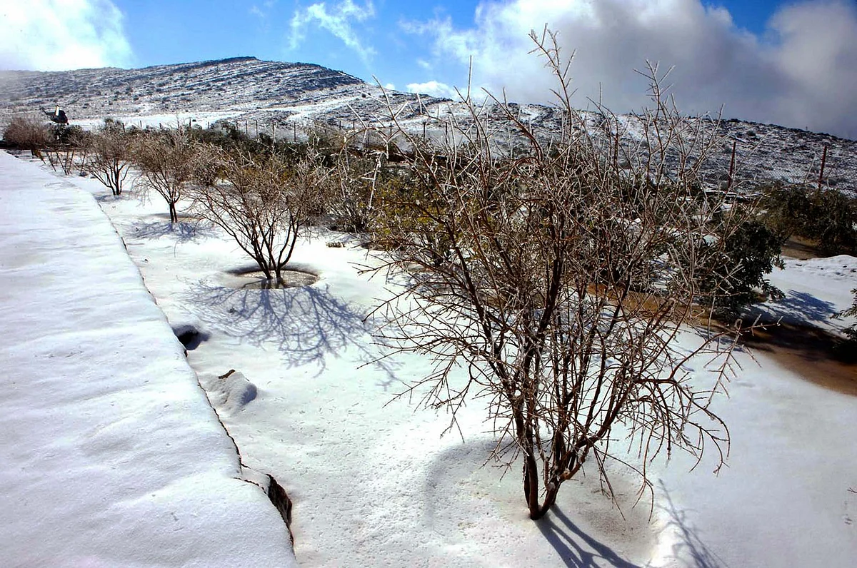 Look: When snow covered RAK mountains on one of UAE's coldest days ever ...