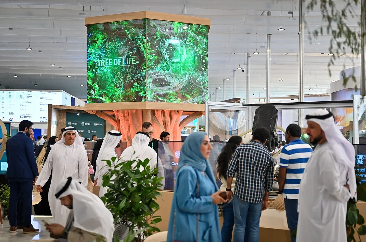 UAE’s AI-powered tree to get new life for charities after COP28; here’s ...
