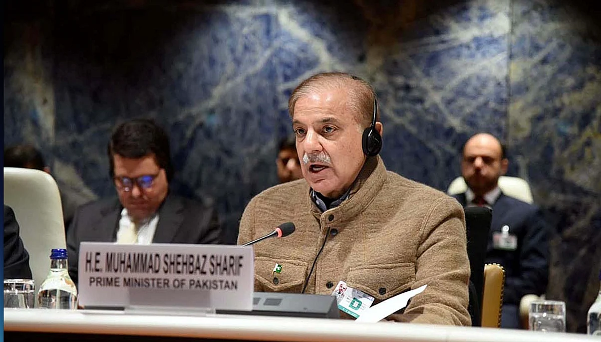 Pakistan will unwillingly accept strict conditions of IMF deal: PM ...