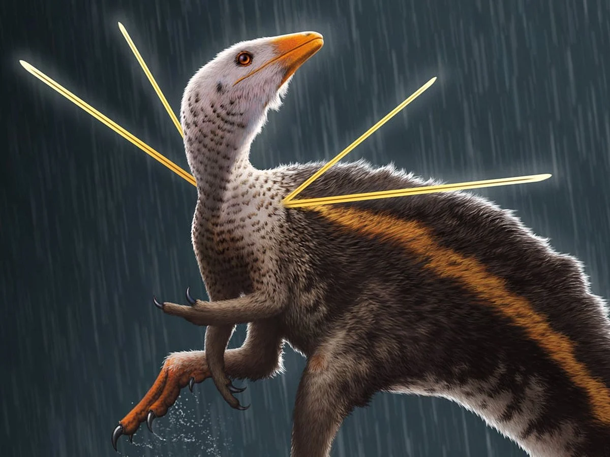 Ubirajara jubatus: A dinosaur with 'hair' and 'ribbons' enthrals ...
