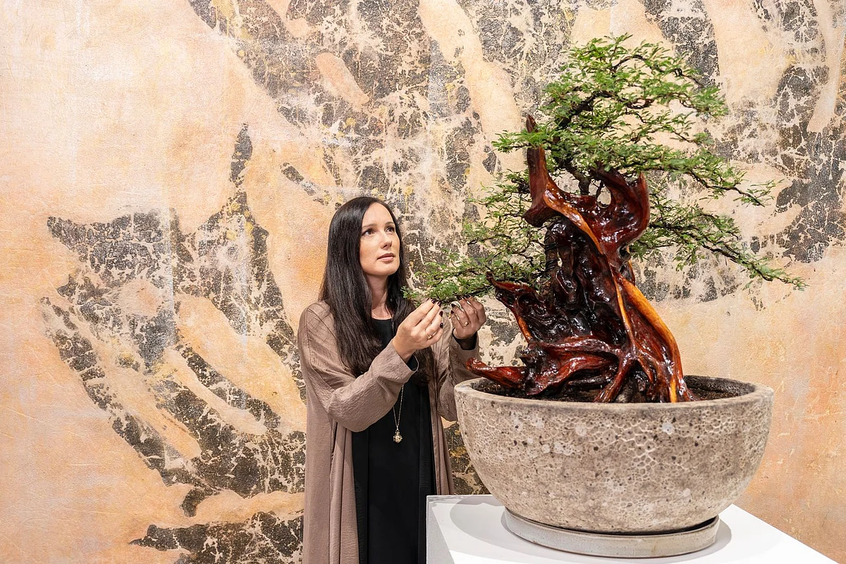 Dubai-based artist reimagines bonsai with UAE's iconic Ghaf and Olive ...