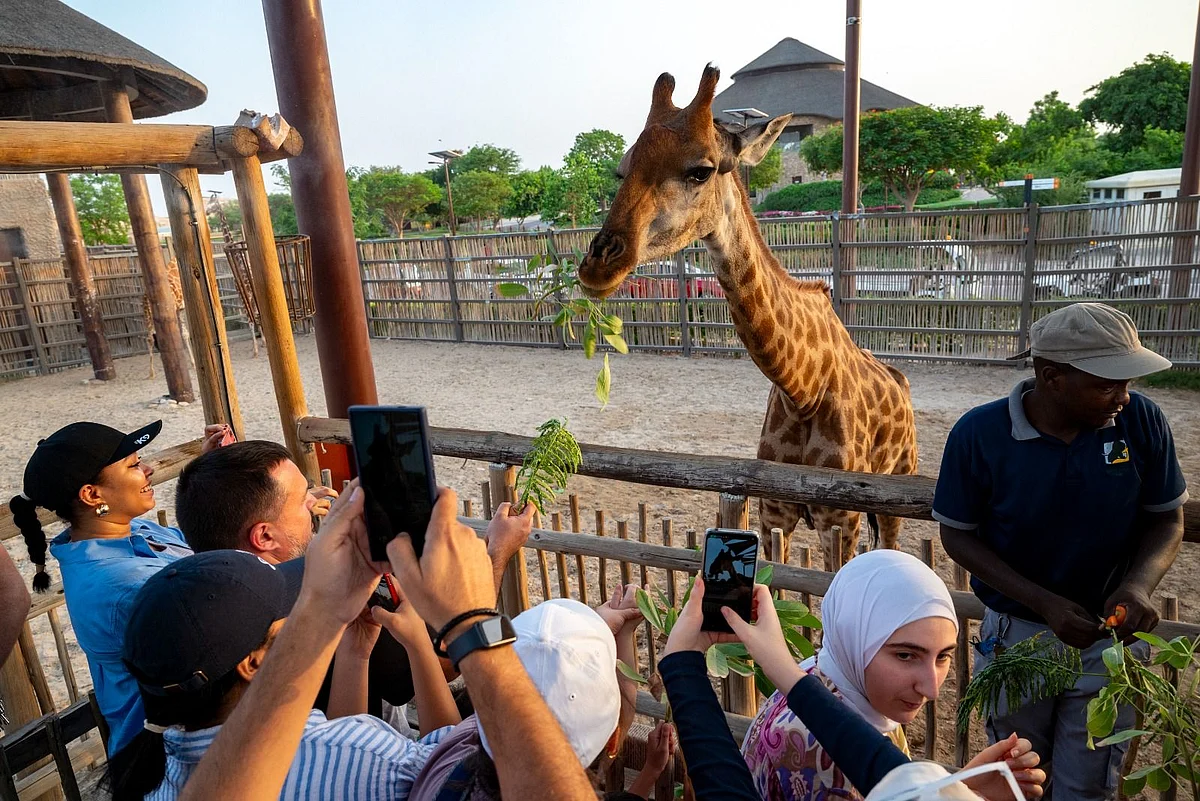 Look: 3,000 animals, 6 themed zones; what to expect at Dubai Safari ...