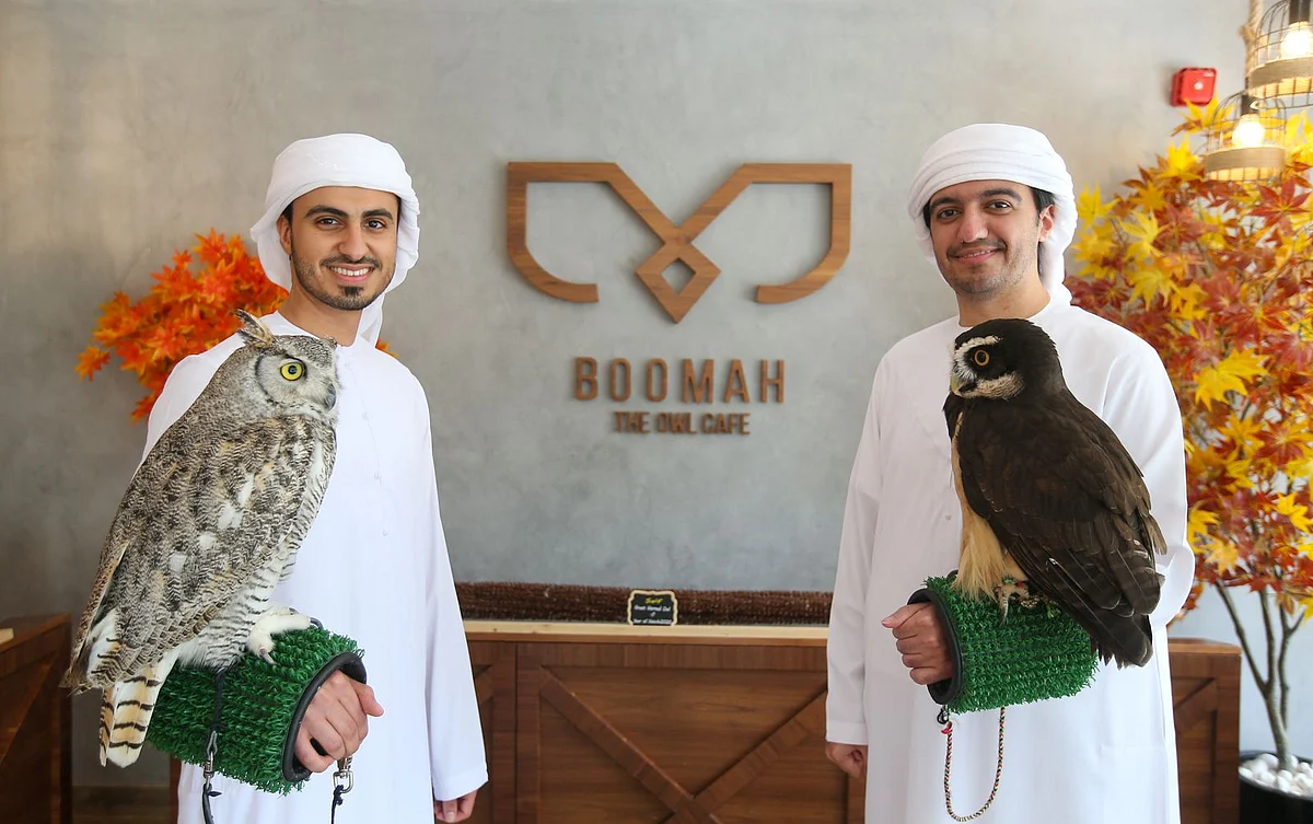 Abu Dhabi: Inside a cafe with owls | Khaleej Times