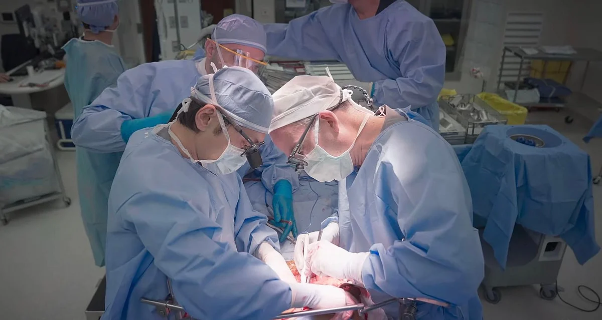 UAE: 400 lives saved as post-mortem organ donations surge | Khaleej Times