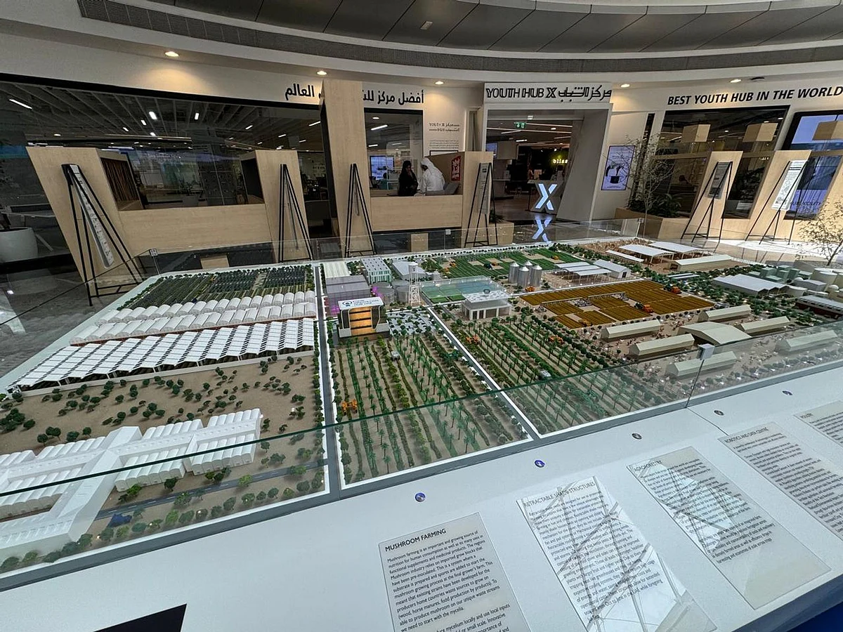 Drones, food tech valley: Dubai 'arid farm of the future' to launch soon