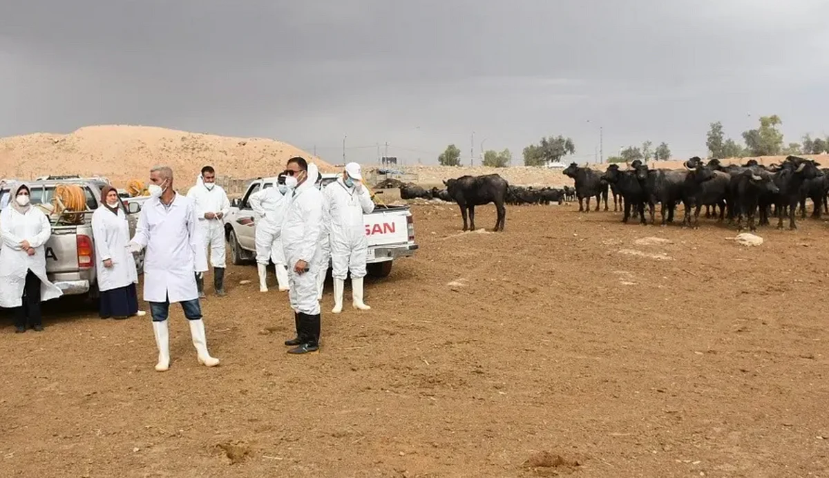 Iraq: Deadly nose-bleed fever shocks as cases surge | Khaleej Times