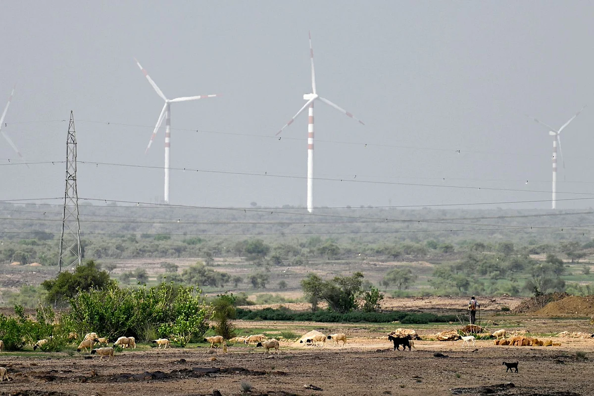 India's green energy wind drive hits desert herders hard | Khaleej Times