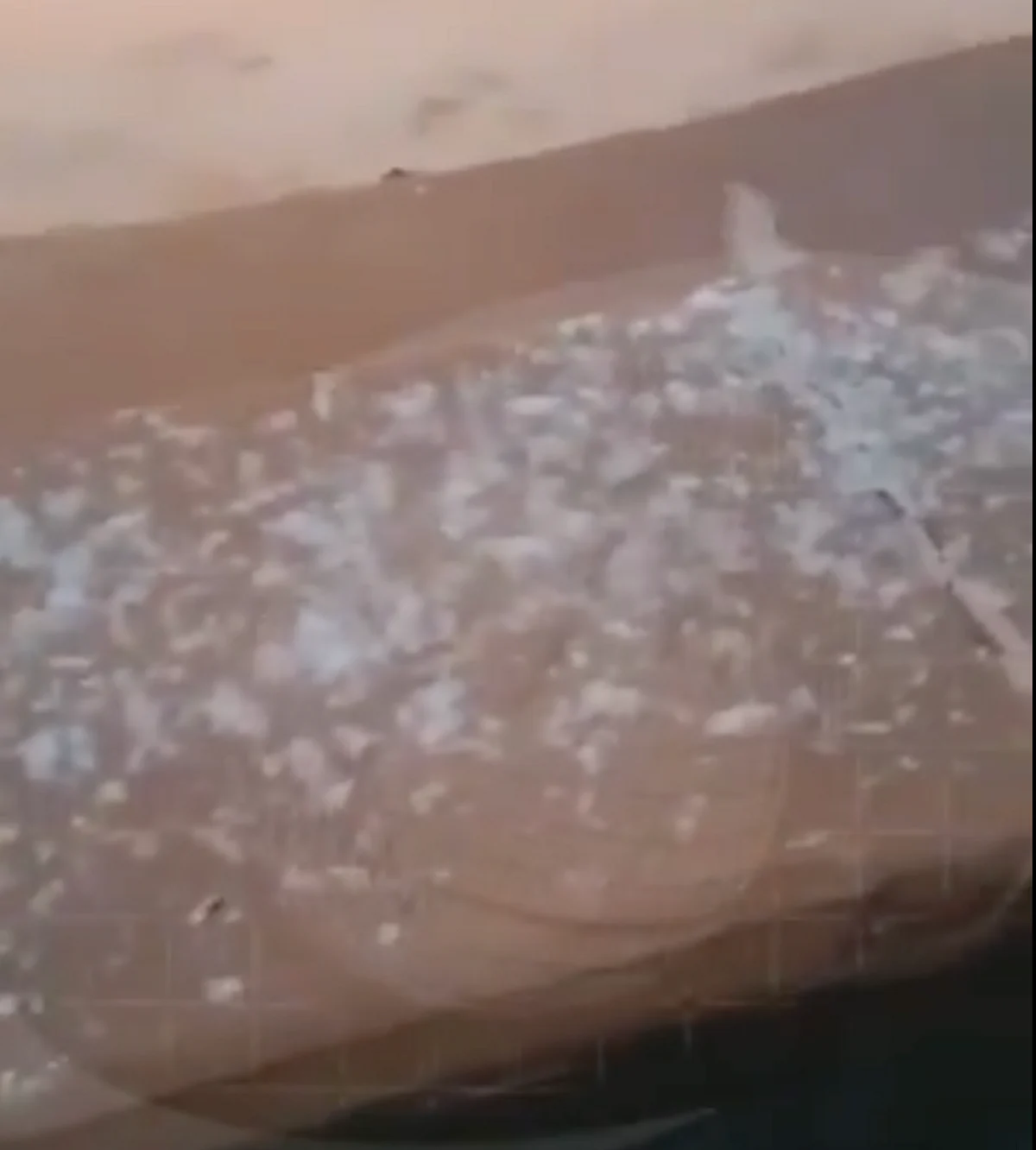 Watch: UAE sees frost, ice crystals as temperature drops to chilly 2.2 ...