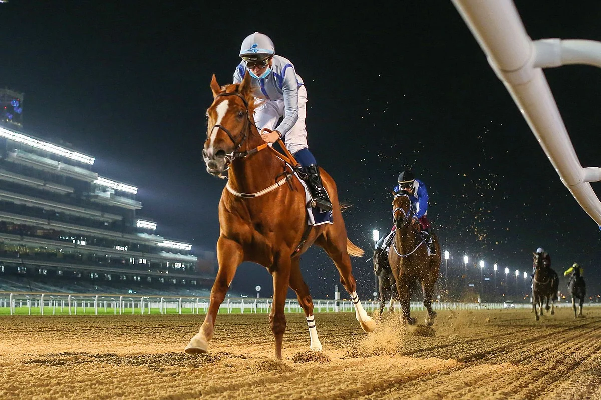 They are only horses, and not machines, says Emirati trainer Salem bin ...