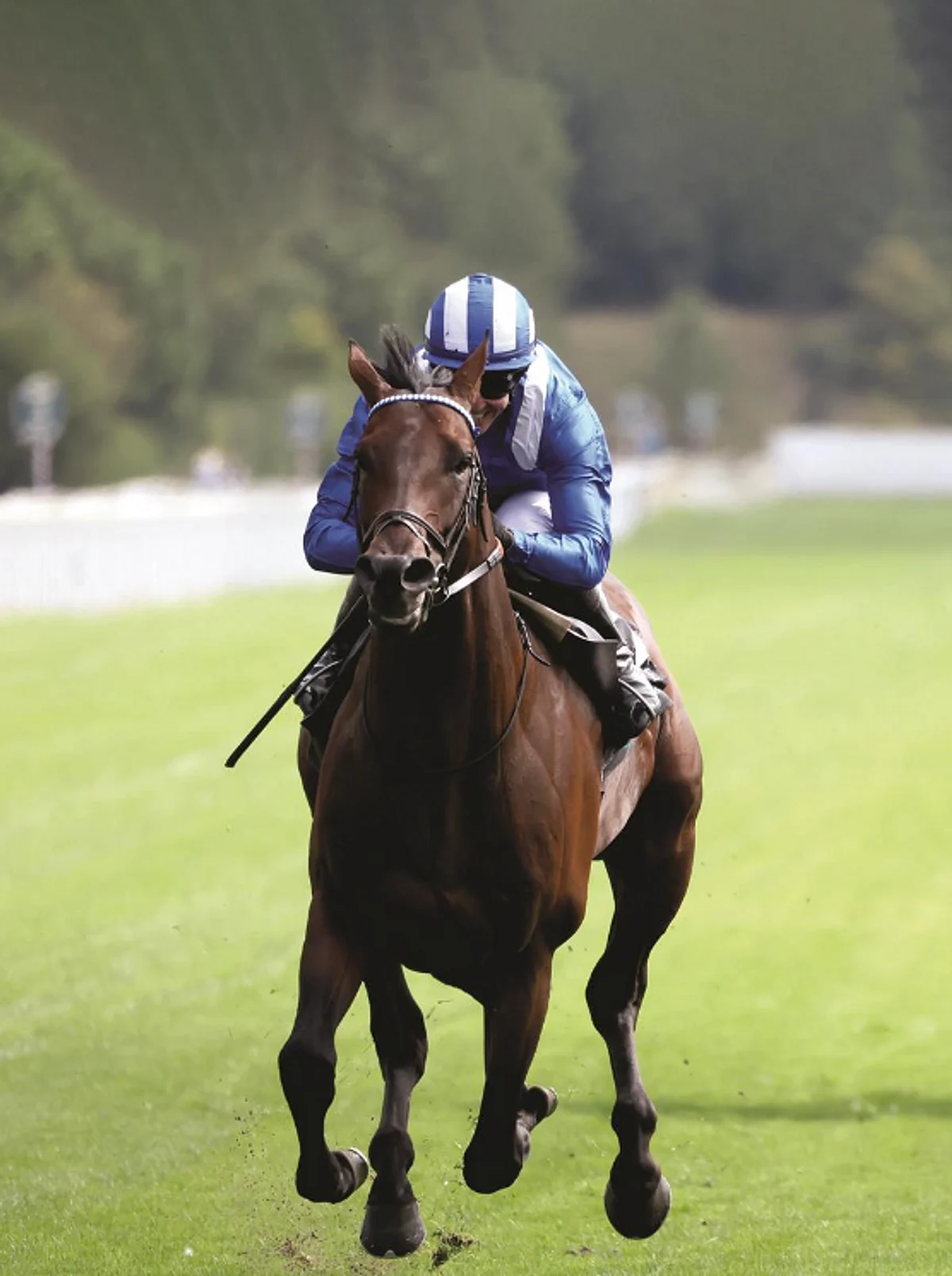 Dubai World Cup: Global stars honoured at Sheikh Mohammed Horse Racing ...