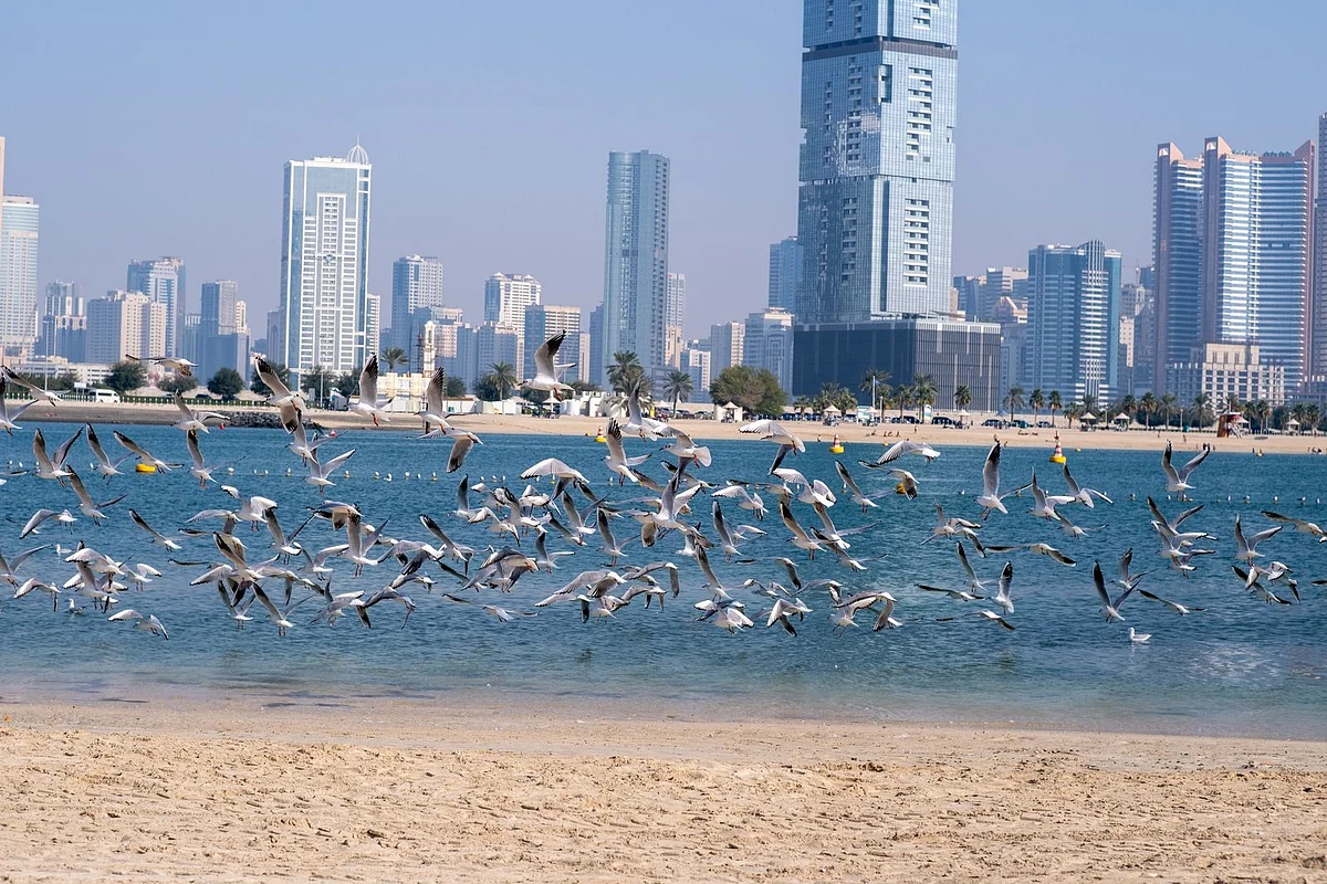 UAE: Clear weather forecast on Sunday with chances of rains in some ...