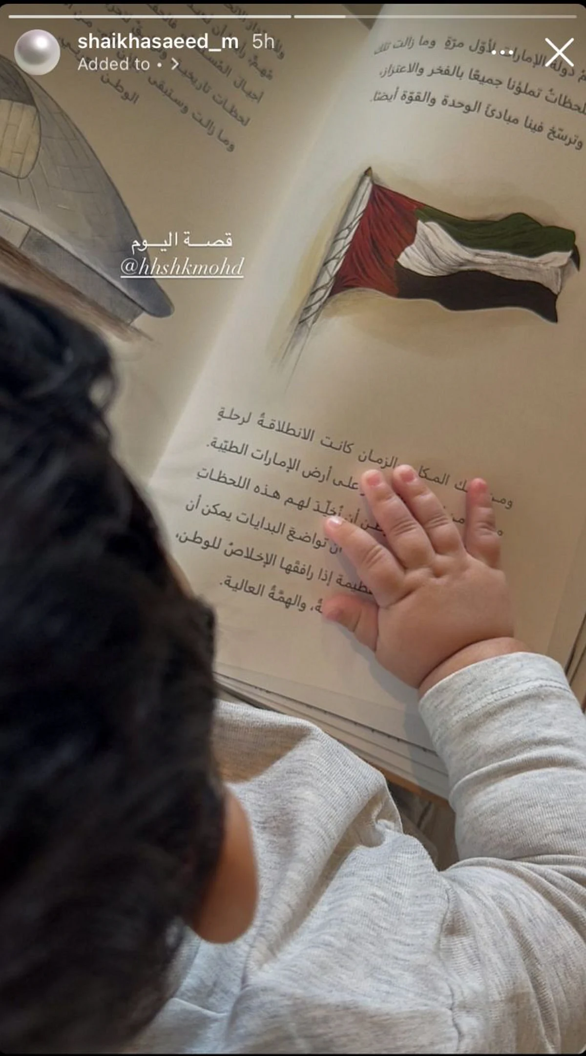 Look: How Sheikh Hamdan's baby Mohammed marked his first UAE Flag Day ...