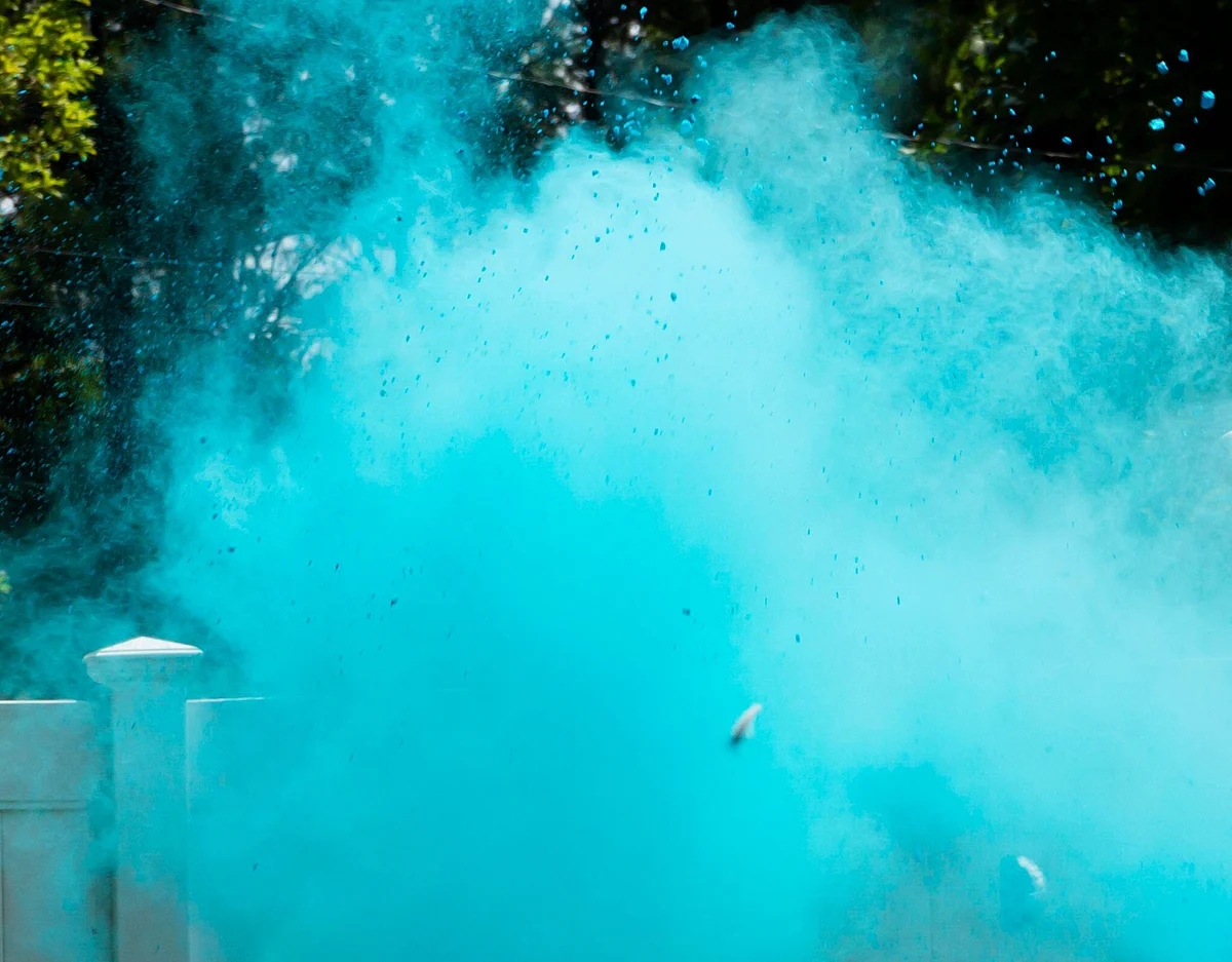 Gender reveal party using 36kg explosives triggers earthquake reports ...