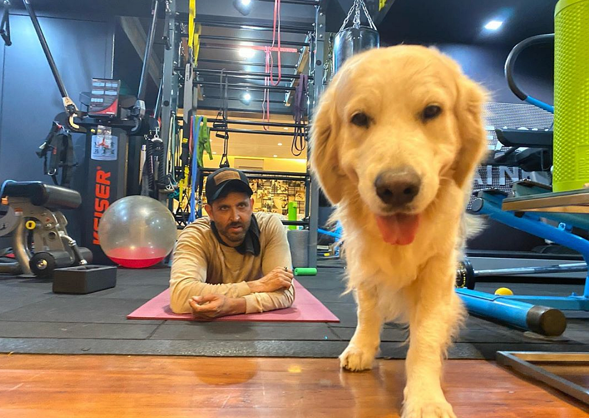 Hrithik's cute dog gets some virtual love | Khaleej Times