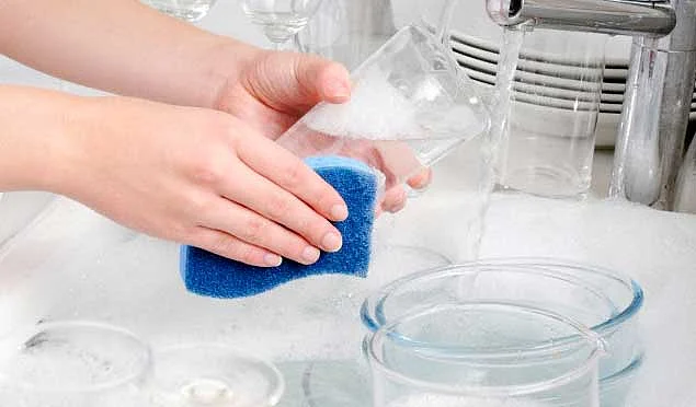 UAE: How your kitchen sponge could lead to life-threatening infections ...