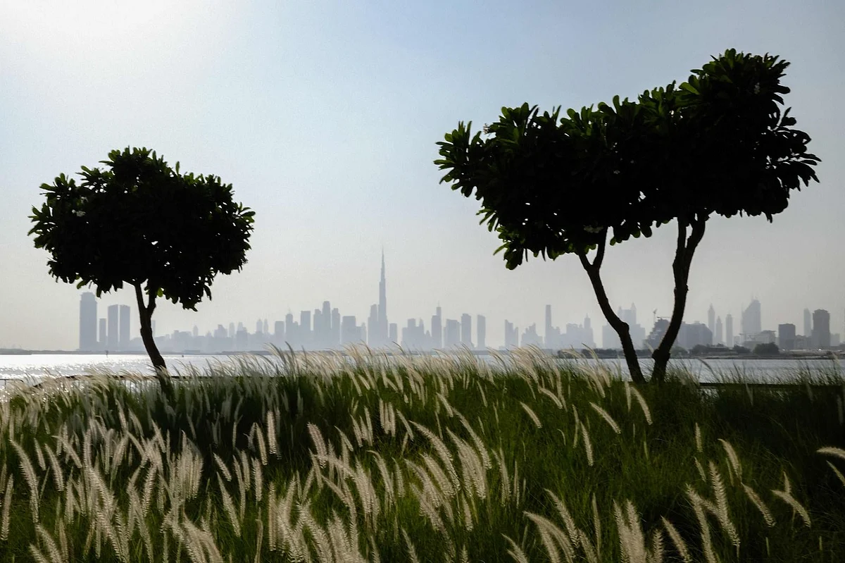 UAE weather: Clear skies expected; humid conditions at night | Khaleej ...