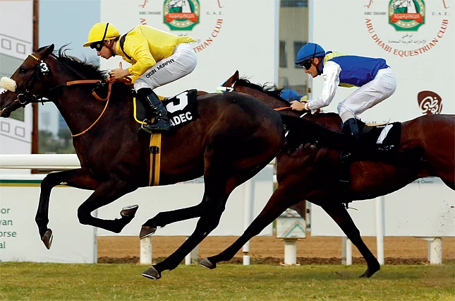 O’Shea and Murphy dominate